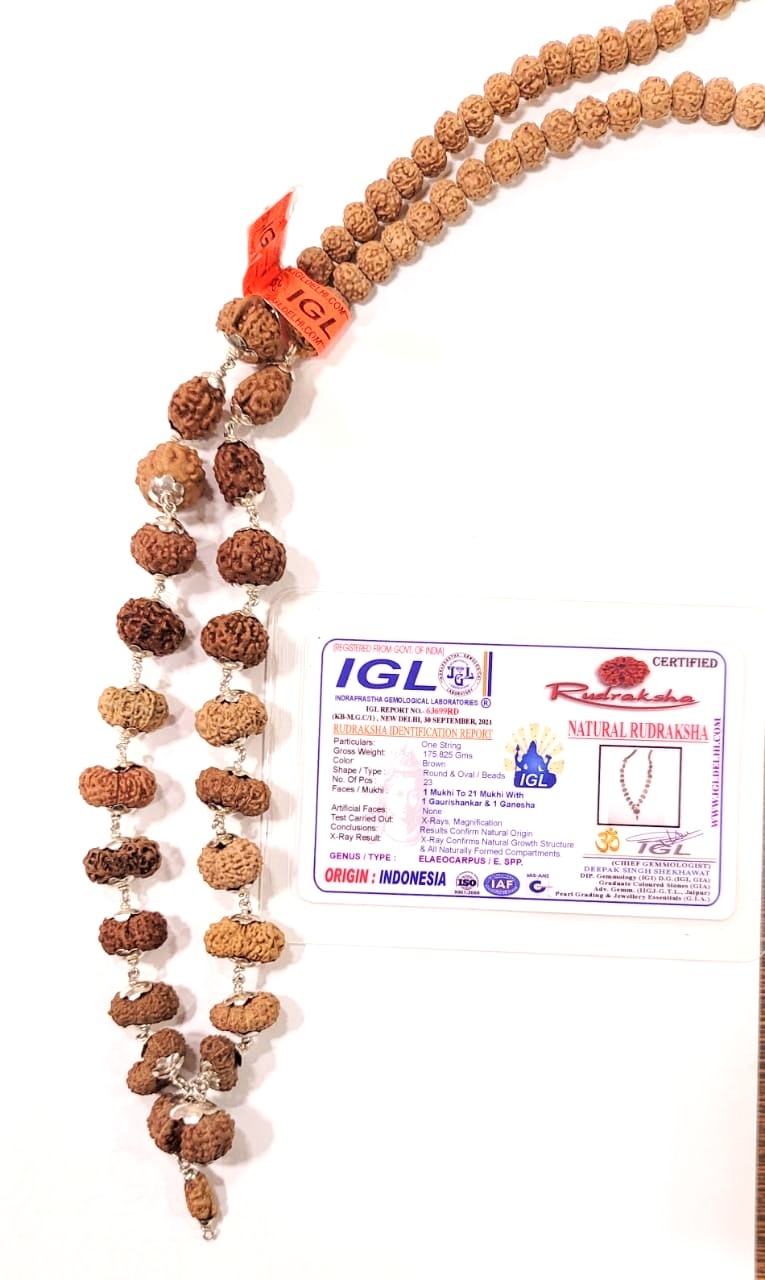 Indrakshi Mala Java Beads Rudraksh Guru