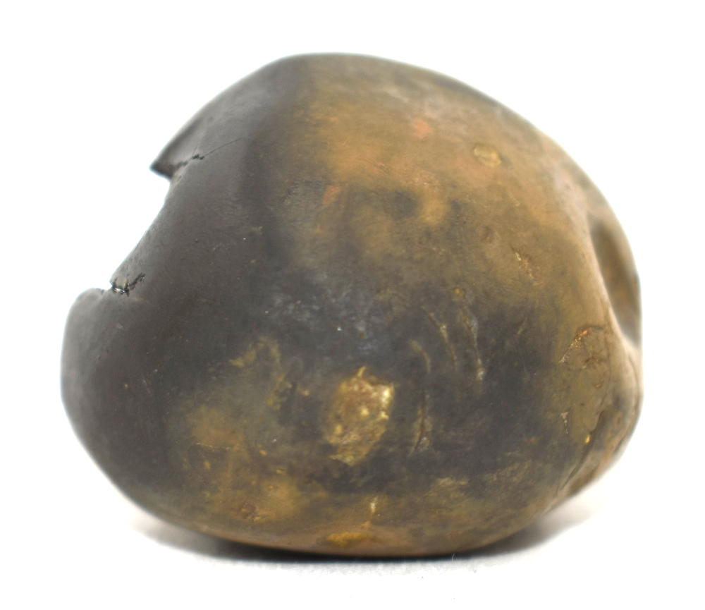 Vishnu Shaligram – Rudraksh Guru